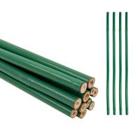 China Durable & Eco-Friendly Plastic Coated Bamboo Stakes – Custom Lengths from 10cm to 400cm for sale