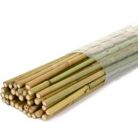 China Strong & Sustainable Bamboo Stakes: Premium Supports for Climbing Plants for sale