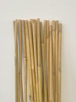 China Strong & Sustainable Bamboo Stakes: Premium Supports for Climbing Plants for sale