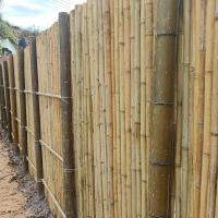 China Waterproof and Durable Natural Bamboo Fence Roll for Garden and Landscaping for sale