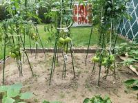 China Plastic Coated Metal Stakes Green Garden Stakes for Plant Support Plant Climbing Landscape Fencing for sale