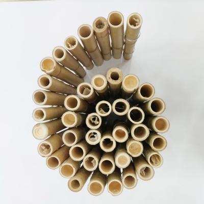 China Natural Flexible Bamboo Short Fencing Decorative Outdoor Garden Landscape Edging for sale