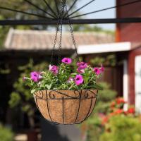 China Premium Round Shape Coir Hanging Baskets Complete With Coir Liners, Breathable Natural Coir Plant Hangers For Garden & Home Decor for sale