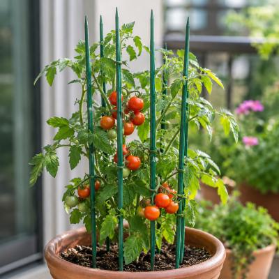China Eco-Friendly Bamboo Flower Sticks – The Sustainable Plant Support Every Gardener Needs for sale