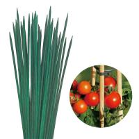 China Natural Bamboo Flower Stakes Biodegradable Garden Plant Support Custom Sizes Colors for Nurseries for sale