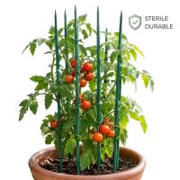 China Natural Bamboo Flower Stakes Biodegradable Garden Plant Support Custom Sizes Colors for Nurseries for sale