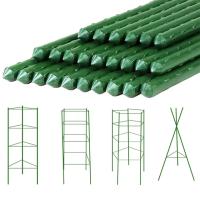 China Plastic Coated Metal Stakes Green Garden Stakes for Plant Support Plant Climbing Landscape Fencing for sale