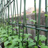 China Plastic Coated Metal Stakes Green Garden Stakes for Plant Support Plant Climbing Landscape Fencing for sale