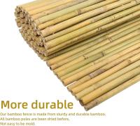 China Bamboo Fencing Roll 6 ft High x 8 ft Long Natural Bamboo Privacy Fence Divider Decorative Fence for Patio Balcony Garden Border Pool for sale