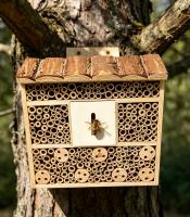China Outdoor Hanging Bee Hotel Insect House, Natural Bamboo Tube Bee Nest Pollinator Habitat for Garden for sale