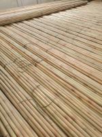 China Sustainable Bamboo Garden Stakes 6‑30mm | Natural Bamboo Poles for Climbing Plants & Vegetable Trellis for sale