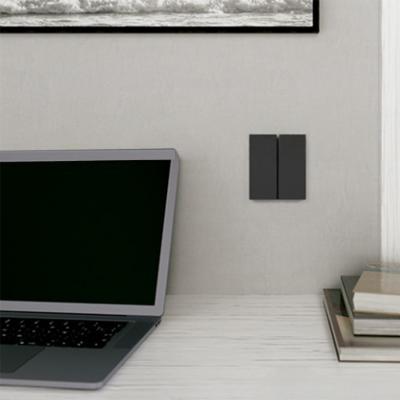China Schneide Cuadro H KNX 2 Key Push Button C2E616101_MB_C1 for Smart Building Control for sale