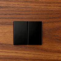 China C2E616101_MB_C1B Schneide Cuadro H KNX 2 Key Push Button Matte Black IP20 for sale