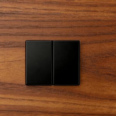 China C2E616101_MB_C1B Schneide Cuadro H KNX 2 Key Push Button Matte Black IP20 for sale