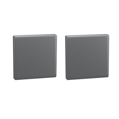 China NP16161_01BK_E1 Schneide Unica KNX Minimalist 2 Key Push Button Matte Black for sale