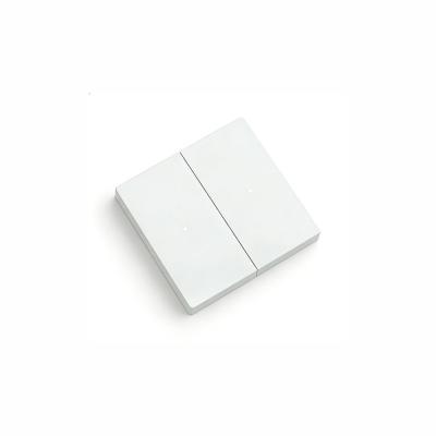 China MTN619225 System M 2-Gang Rocker for Push-button Module Active White Glossy KNX Compatible for sale