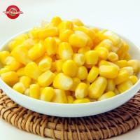 China Flavorful Canned Mixed Vegetables Delicious Sweet Corn Fresh Nutritious 340g for sale