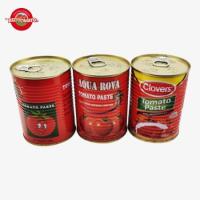 China 400g Canned Tomato Paste Easy To Open The Lid Double Concentrated China Factory Production Factory Price for sale