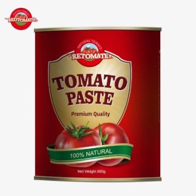 China 800g Canned Tomato Paste Meeting ISO HACCP BRC And FDA Global Standards for sale