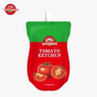 China 210g Pure Natural Flavor Tomato Ketchup Sachet Manufactured at OEM Factory for sale