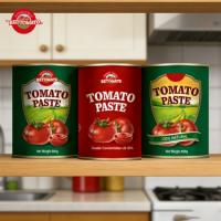 China China Factory Produced 400g Canned Tomato Paste | Double Concentrated, Easy Open Lid & Factory Wholesale Price for sale