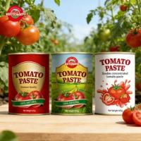 China 425g Canned Tomato Paste Conforms To ISO HACCP BRC & FDA Global Regulations for sale