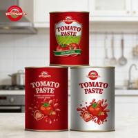 China 1000g ISO Certified Triple Concentration Canned Tomato Paste in Tin for sale