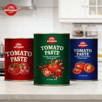 China High-Quality 1000g Canned Tomato Paste with Triple Concentration and ISO, HACCP, BRC, FDA Certification for sale