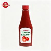 China 340g Bottle Ketchup Sweet and Sour Condiment ISO Certified for Burgers and Fries for sale