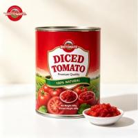 China 400g Green Chili Seasoned Diced Tomatoes with 24-Month Shelf Life for Pizza Pasta Sauce for sale