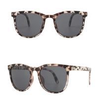 China Plastic Foldable Sun Protection Glasses Custom Brand Logo Printing for sale