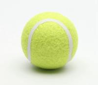 China Large Commercial Dog Safe Tennis Balls 2.5 Inch for Interactive Outdoor Play for sale