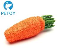 China Eco Friendly Carrot Loofah Dog Chew Toy 15cm Durable Pet Rope Toy for Large Dogs for sale