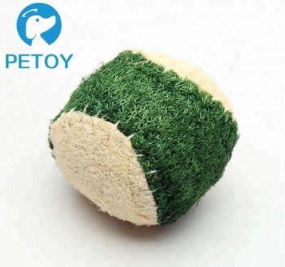 China Eco Friendly Natural Loofah Dog Chew Balls Small Indestructible Rope Toy S 4.8cm M 6.35cm for sale