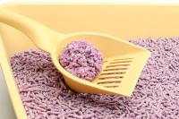 China Commercial Easy Scooping Pet Cat Litter Lavender Scent Environmentally Friendly for sale