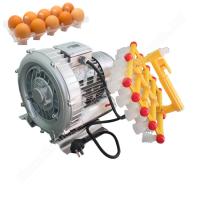 China Single Handle Egg Vacuum Lifter 30 Eggs Egg Suction Lifter Machine for sale