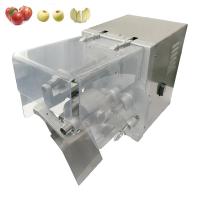 China Commercial Electric Apple Peeler Corer Slicer 110V/220V 304 Stainless Steel for sale