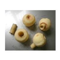 China 304 Stainless Steel Electric Apple Corer And Peeler 304 Stainless Steel for sale
