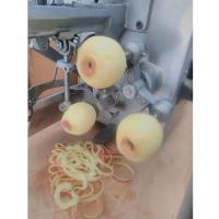 China 304 Stainless Steel Electric Apple Corer And Peeler 304 Stainless Steel for sale