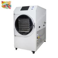 China 10kg home use freeze dryer/ freeze dryer machine for fruit/freeze dryer for milk for sale