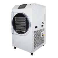 China 10 trays fruit vacuum freeze dryer/ freeze drying machine/ freeze dried candy machine for sale