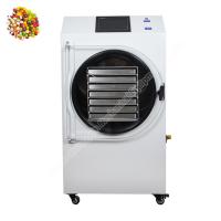 China Freeze Drying Equipment Home Freeze Dry Machine 10kg 4kg/Batch-6kg/Batch for sale
