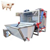 China dehairing machine for pig pig scalding and dehairing machine pig slaughter for sale