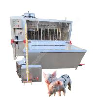 China pig dehairer and scalding machine pig dehairing machine pig hair dehairer for sale