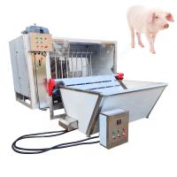 China pig slaughter equipment pig processing equipment pig hair cleaning machine for sale