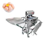 China Duck Egg Cracker Egg Breaker And Yolk Separator Machine White Yolk Separator for sale
