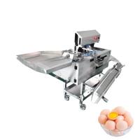 China Stainless Steel Egg Separator Machine  3000pcs/H White Yolk Egg Breaking And Separating Machine for sale