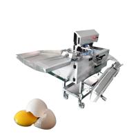 China 3000PCS/H Egg Yolk And White Separator Machinee Chicken Egg Yolk Separator Machine for sale