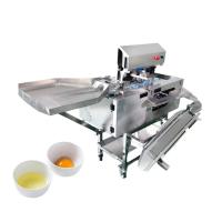 China 304 Egg Separator Machine Egg Yolk And White Separator Machine 3000pcs/H 220V/380V for sale