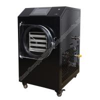 China Food Freeze Dryer Industrial Freeze Dryer Freeze Drying Machine Oil Free Freeze Dryer for sale